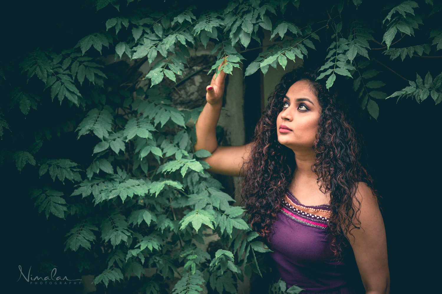 Nimalan Photography – Nimalan Photography
